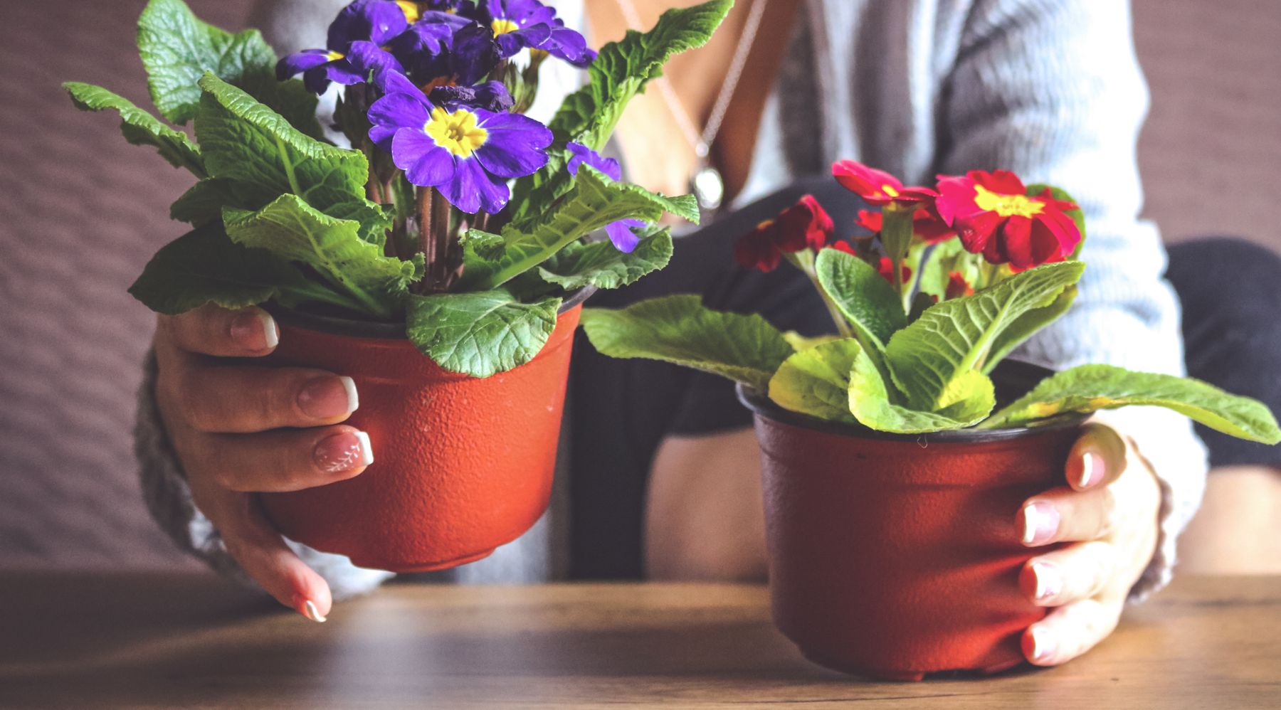 Notre muguet - Bigot Fleurs